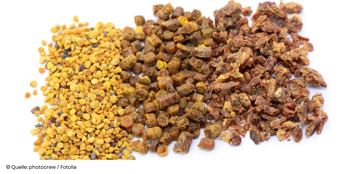 Propolis Wirkung Magen Darm