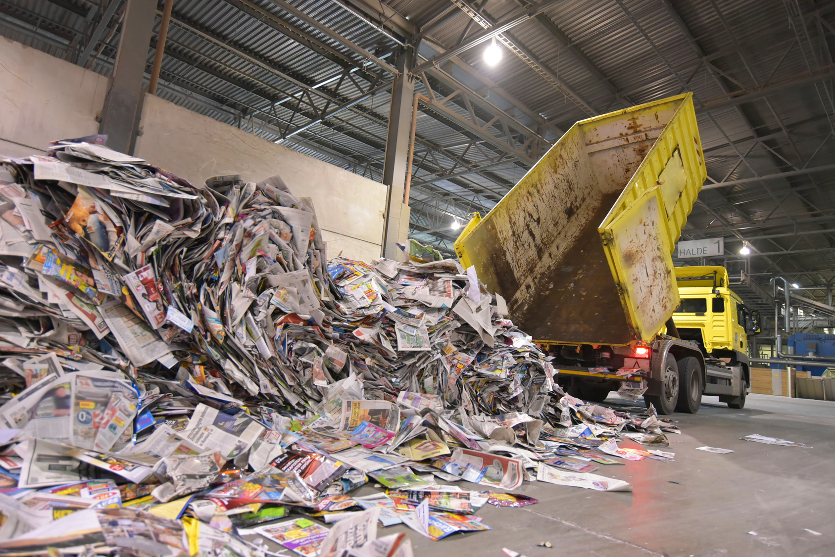 Zum Schutz der Wälder: Papier sparen, Recyclingpapier nutzen ...