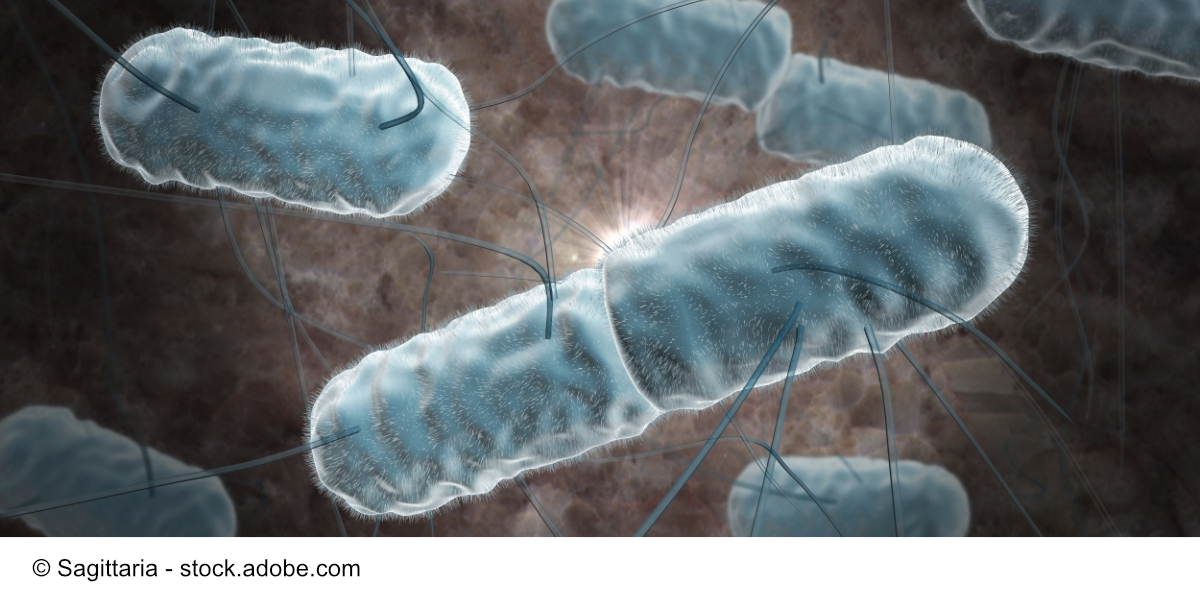 Listerien und Listeriose: So schützen Sie sich vor den Bakterien ...