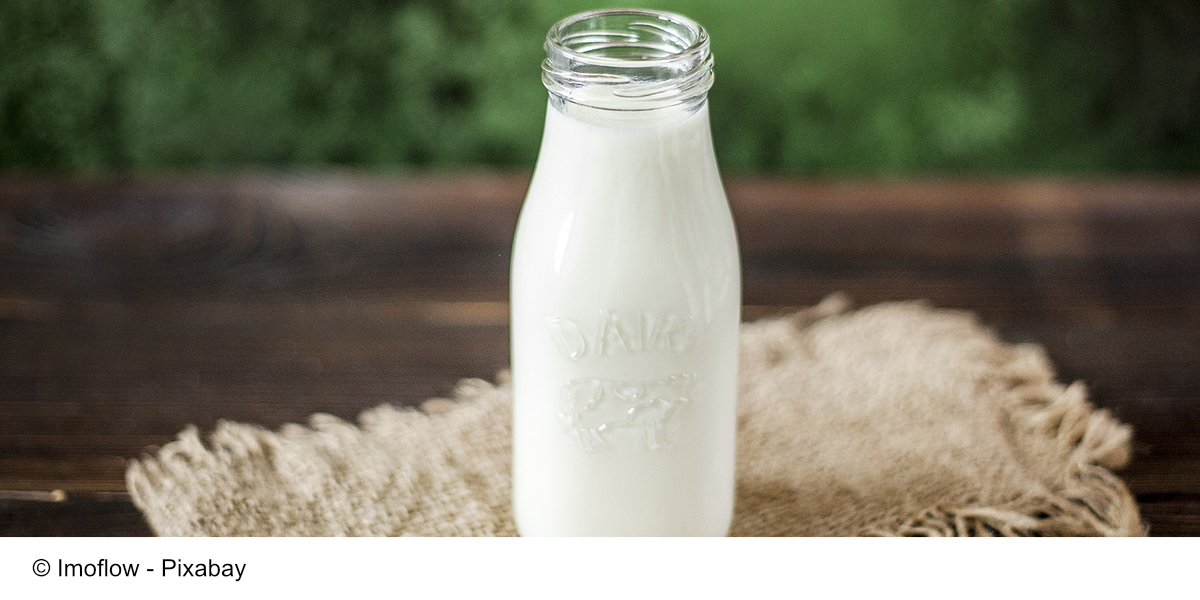 Rund um die Milch: Erzeugung, Verarbeitung und Angebote ...