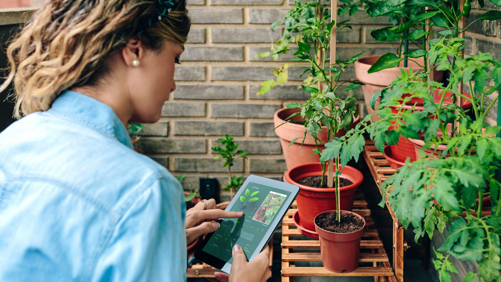 Citizen Science Apps: Forschen Sie mit zum Klimaschutz - per Smartphone ...