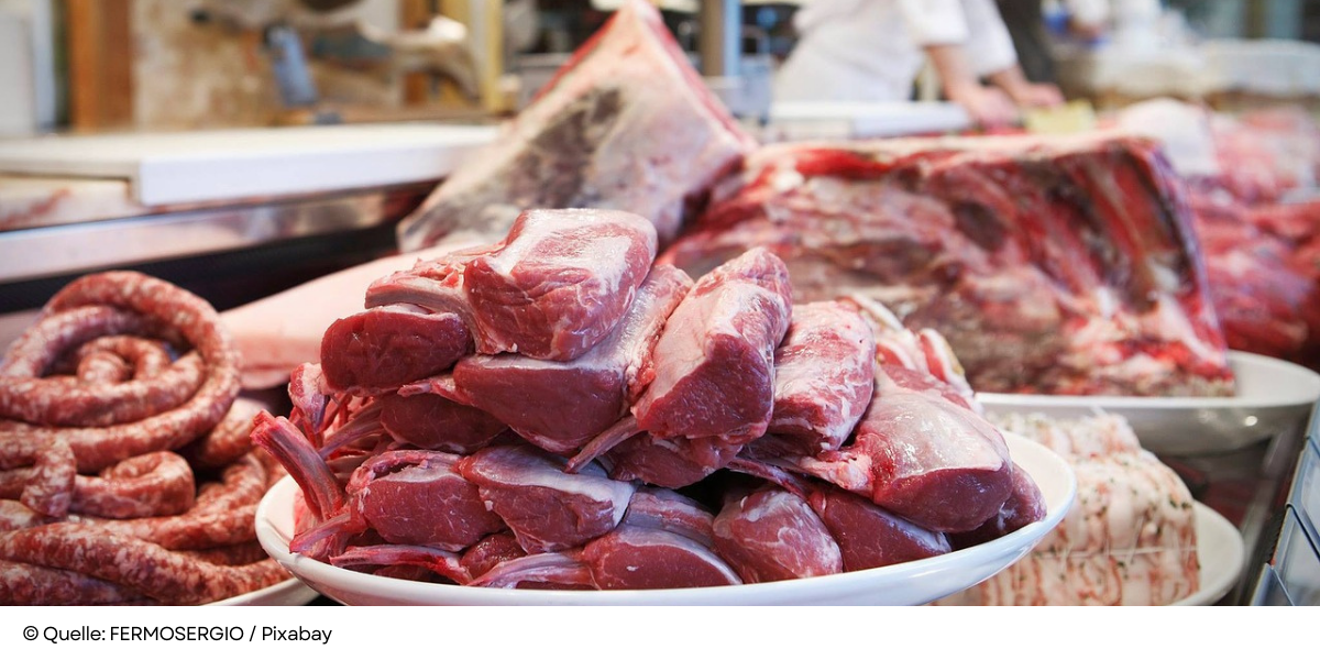 Fleisch – ein Stück Lebenskraft? | Verbraucherzentrale.de