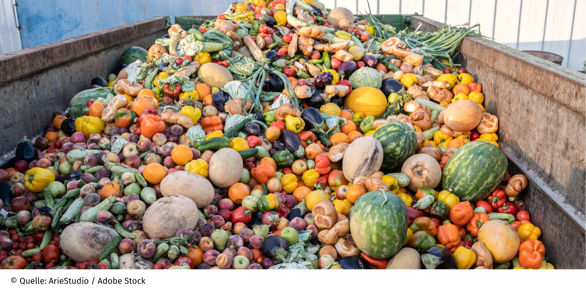 Containern von Lebensmitteln: Was das ist und warum es verboten ist ...